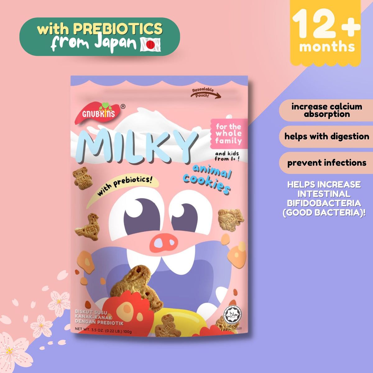 Prebiotic Kids Cookies 100g - 2 flavours (12 months till adult) | Gnubkins