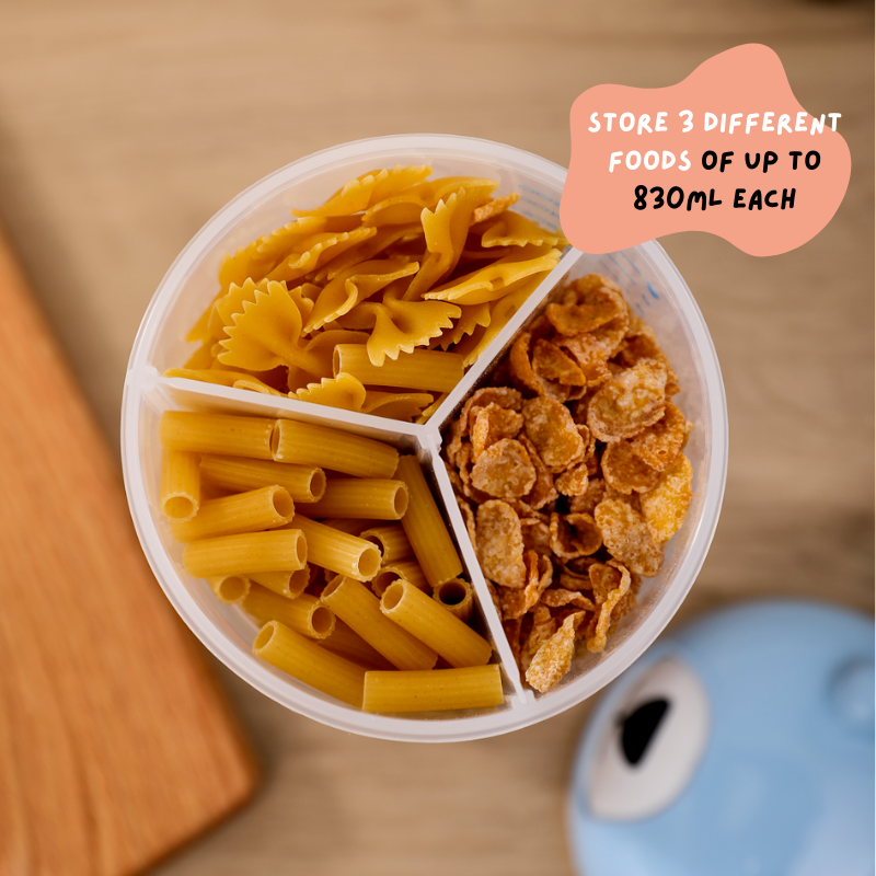 Multi-Compartment Container | Gnubkins