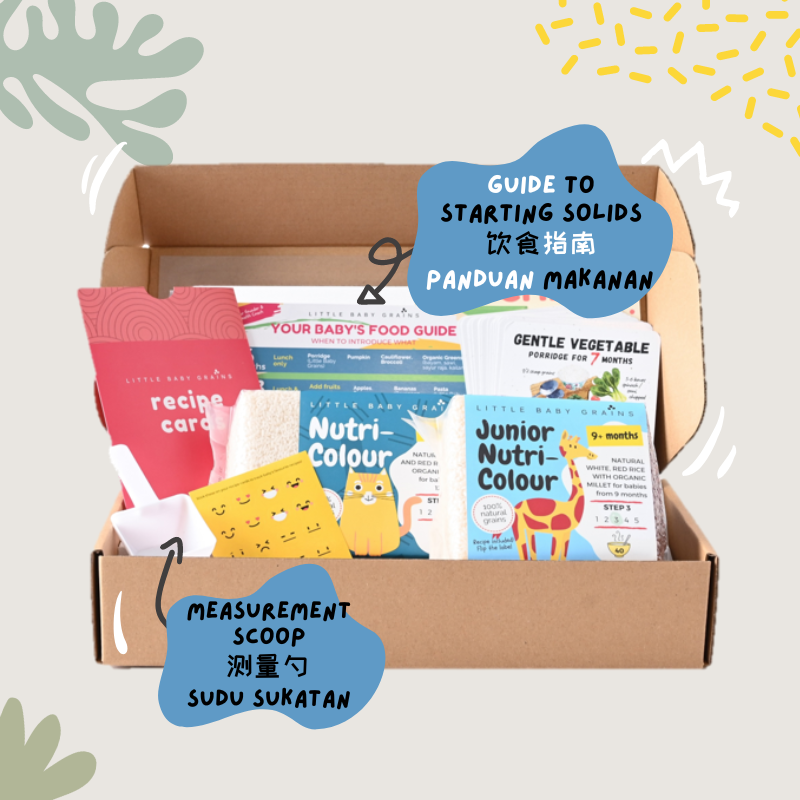 Starter Kit for Babies from 9-12 Months (PREMIUM Range) | Gnubkins